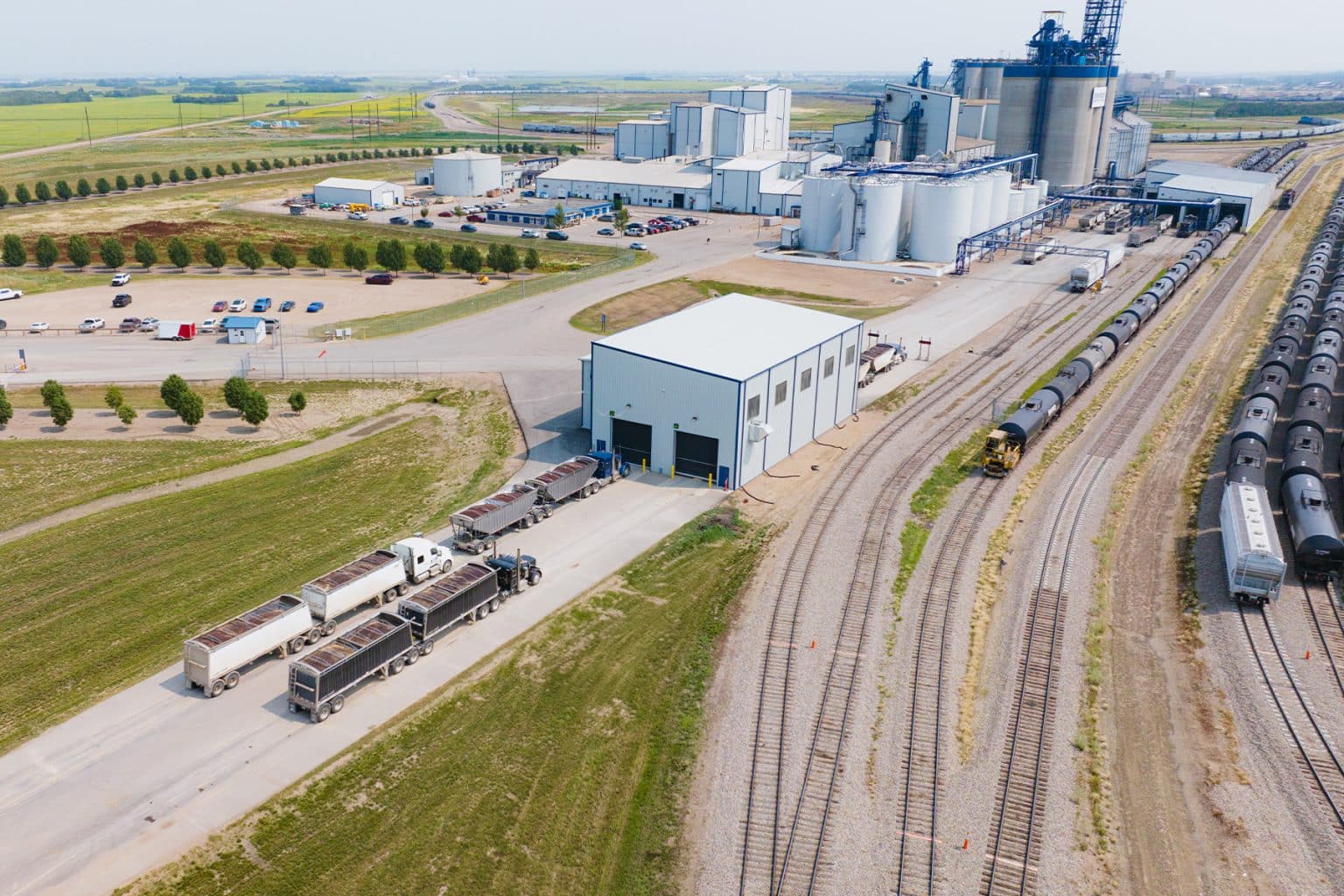Watch: Richardson’s Investment in Yorkton Signals Confidence in the Future of Canadian Canola ...